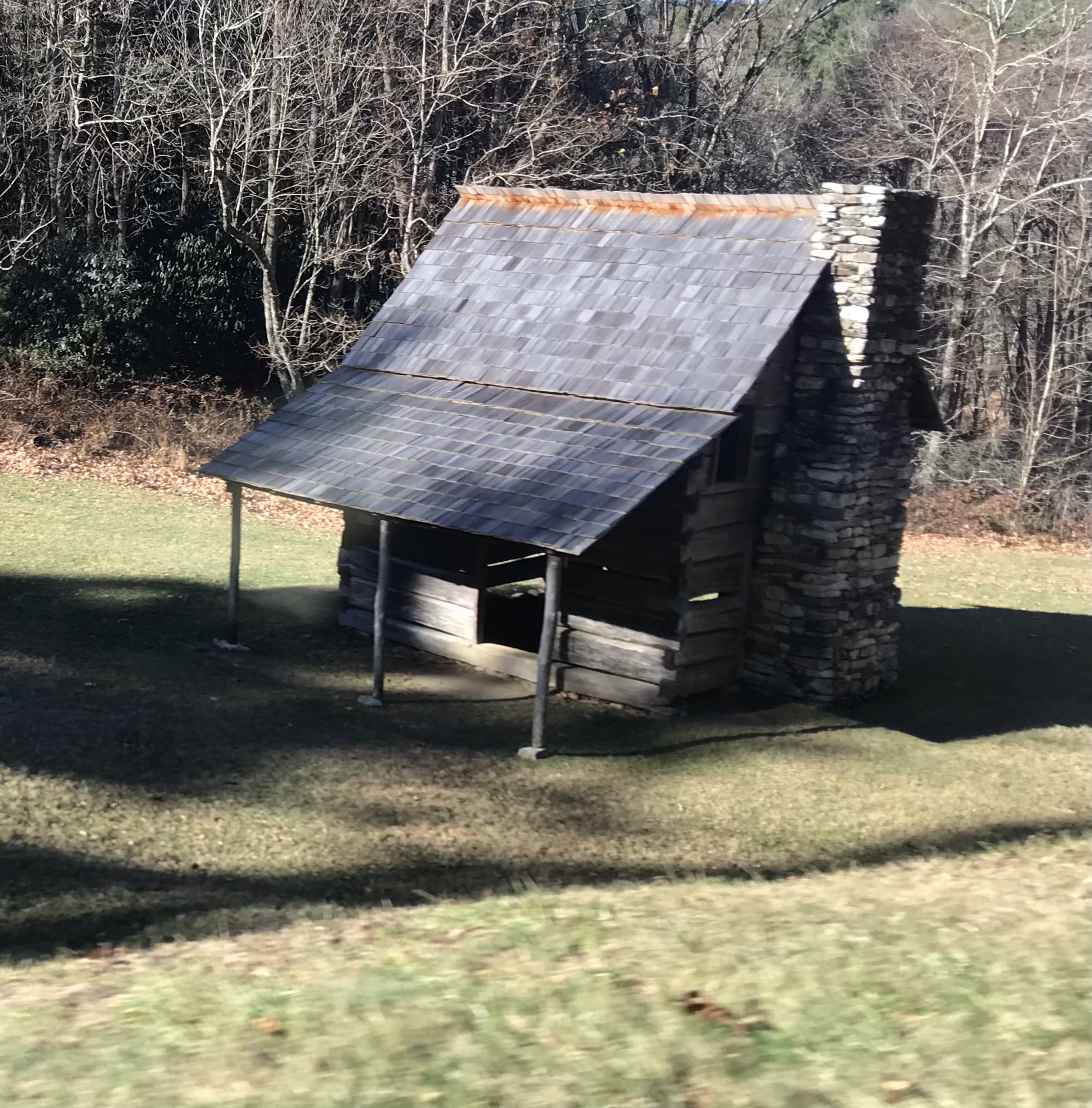 Shack Life [Haiku] | Tiger Riding for Beginners