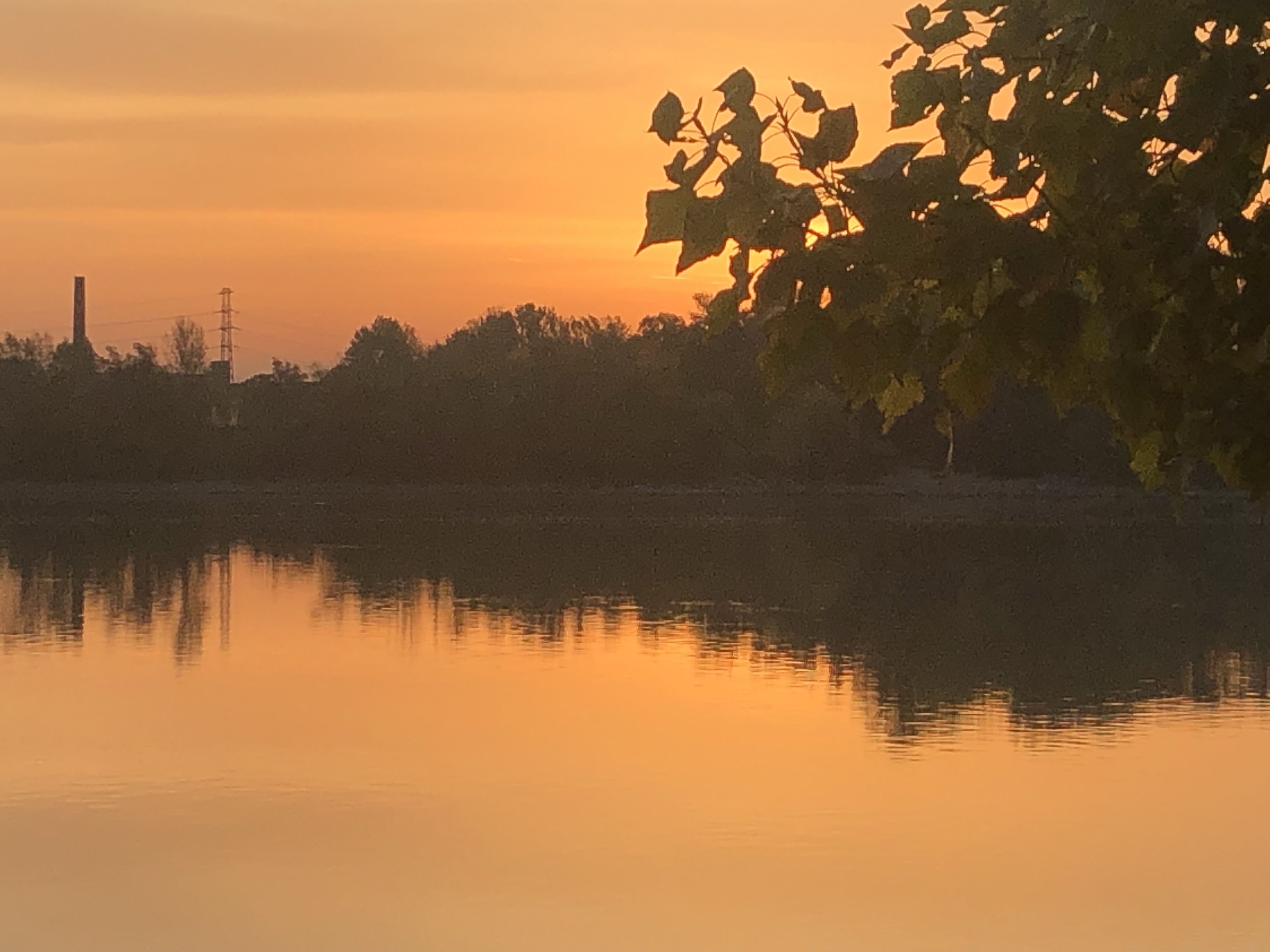 Sunrise River [Haiku] | Tiger Riding for Beginners
