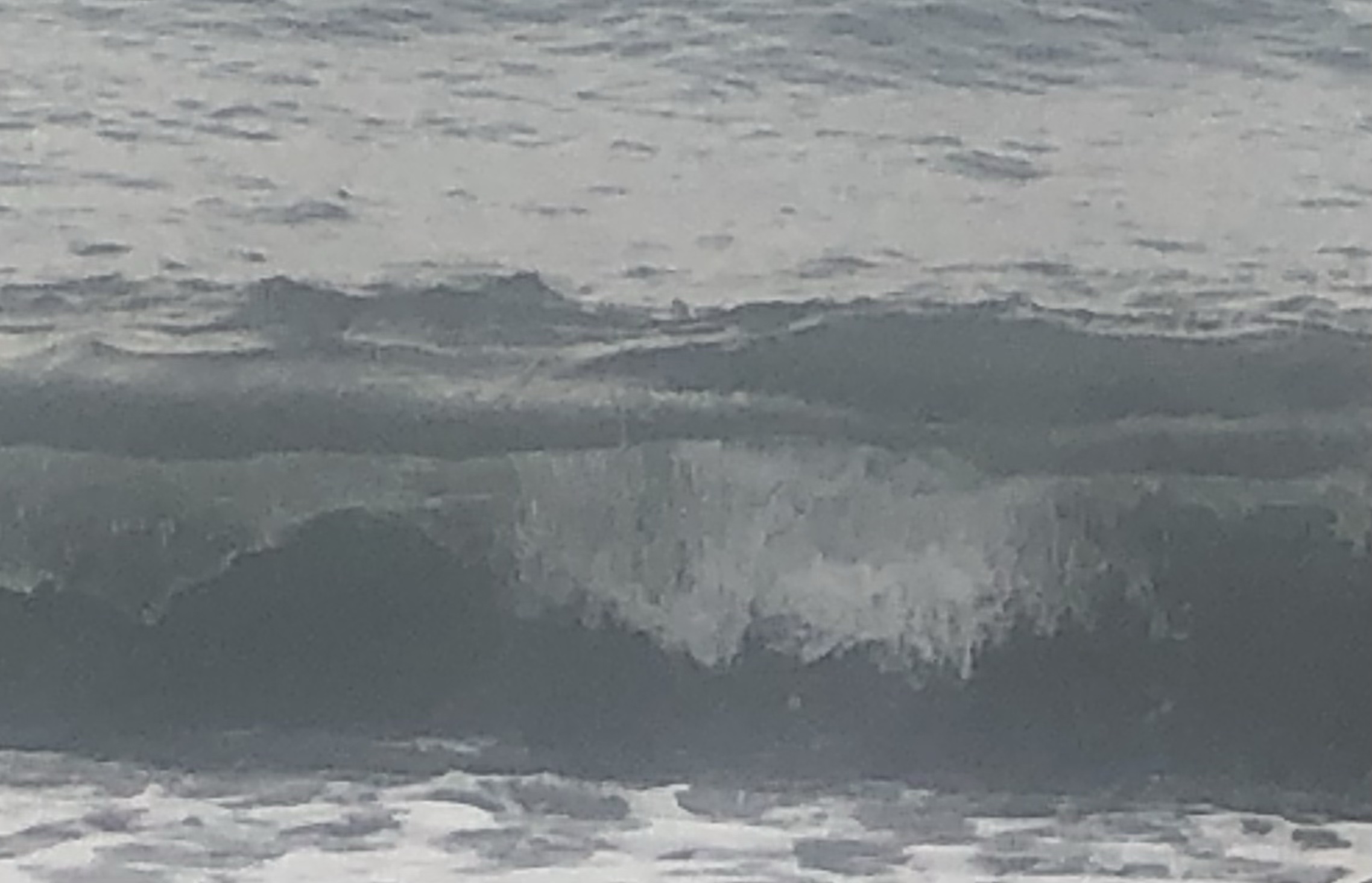 Rain & Waves [Tanka] | Tiger Riding for Beginners