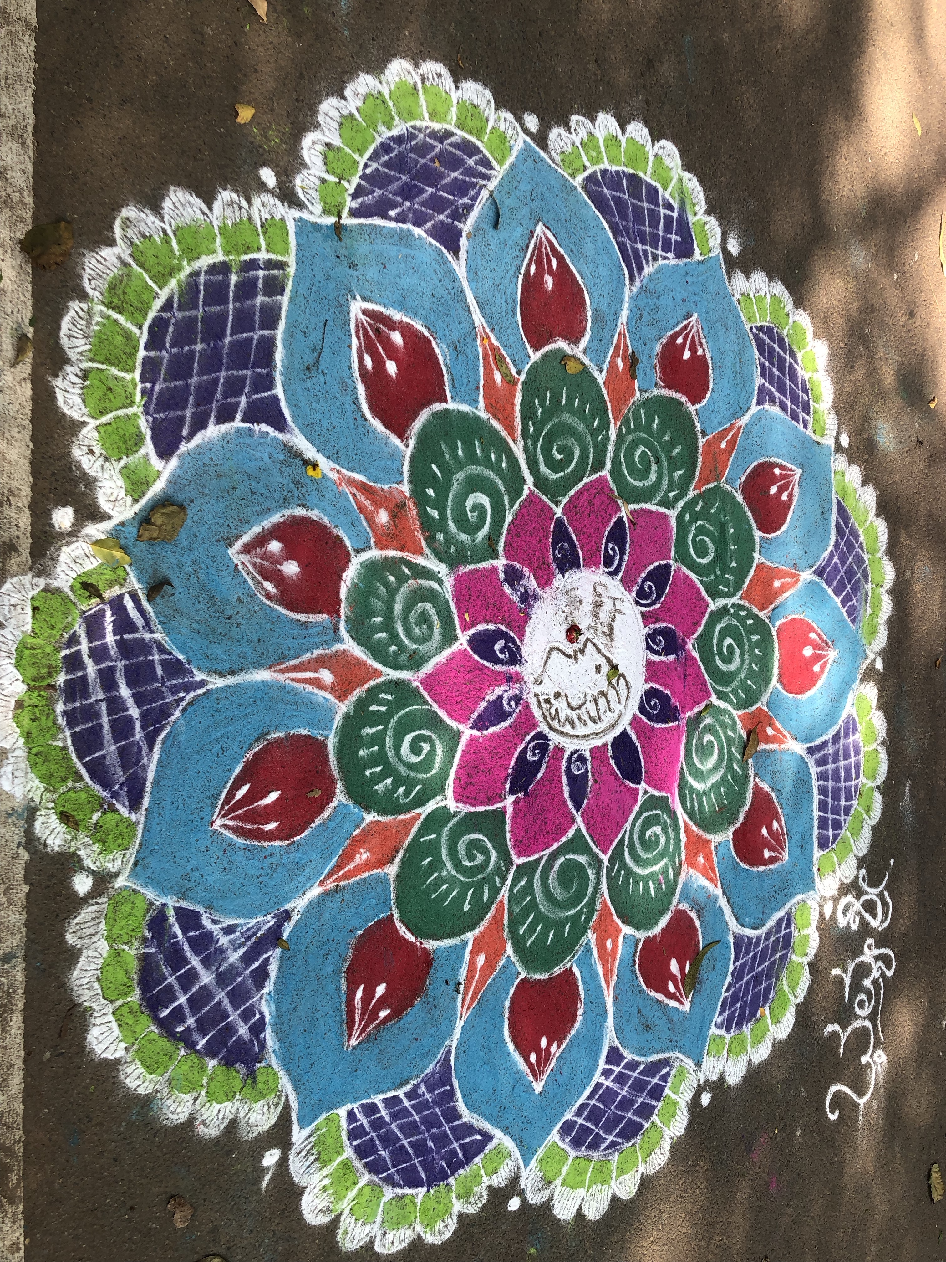 DAILY PHOTO: Rangoli | Tiger Riding for Beginners