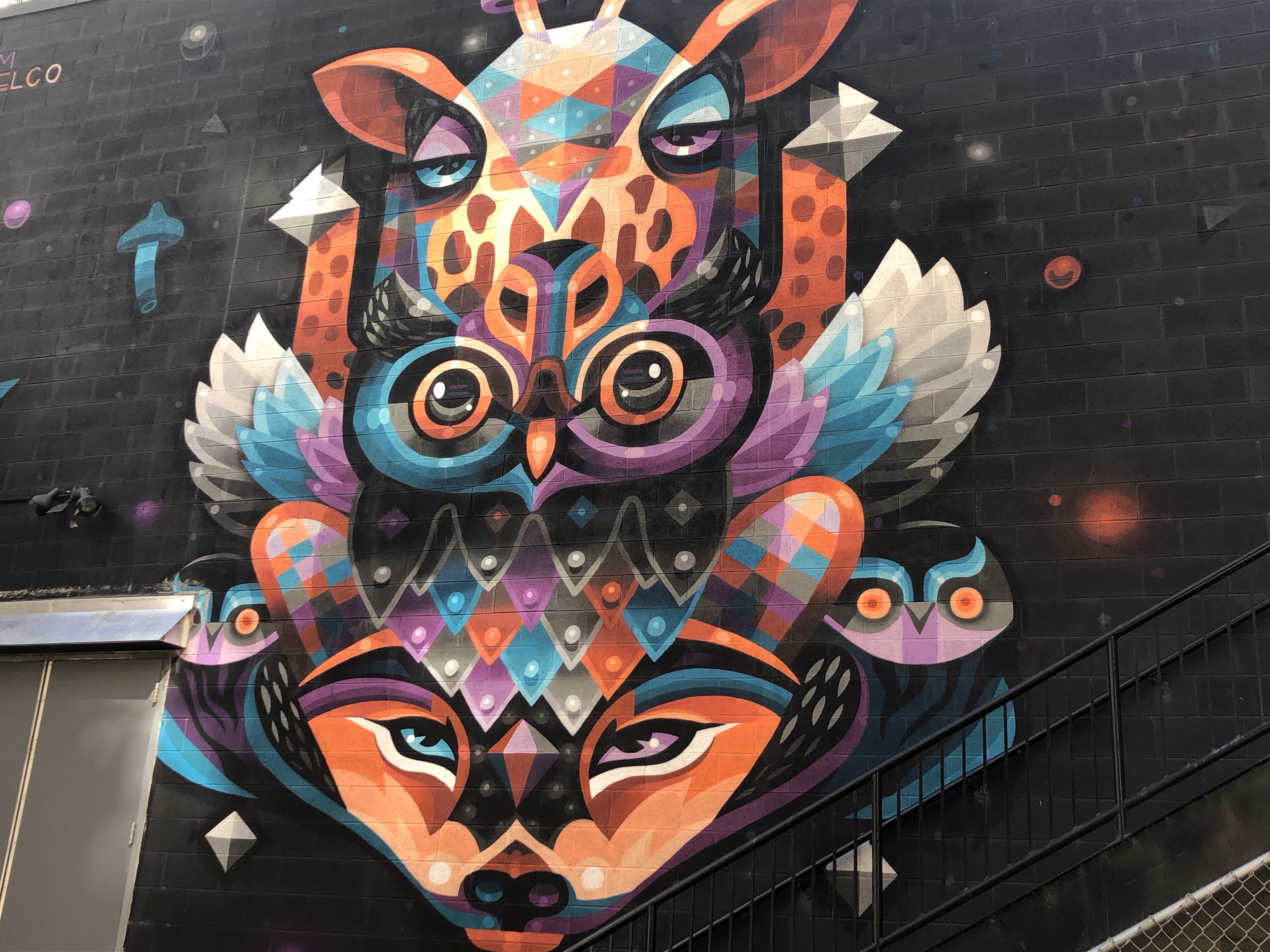 DAILY PHOTO: Psychedelic Street Art of Chicago | Tiger Riding for Beginners