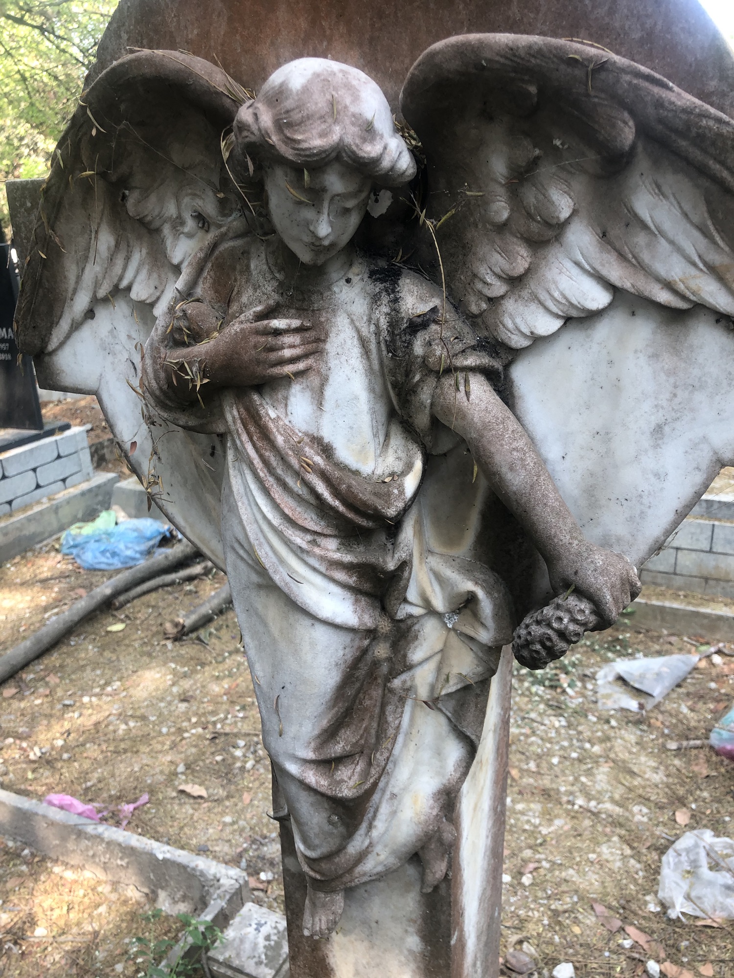 DAILY PHOTO: Cemetery Angels | Tiger Riding for Beginners