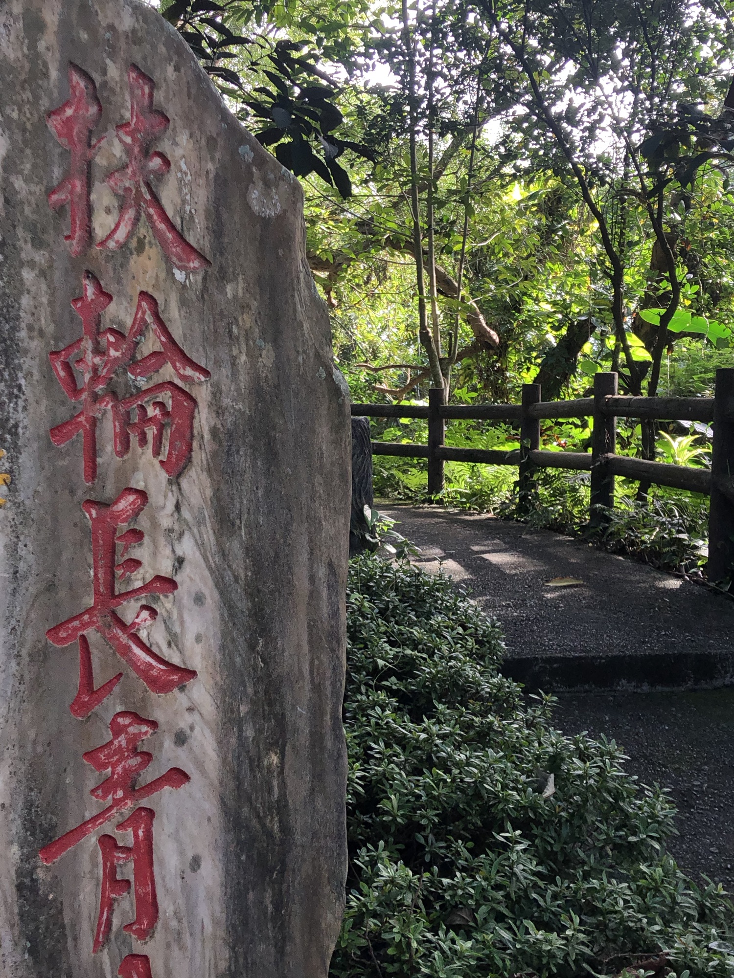 Spring [Haiku] | Tiger Riding for Beginners