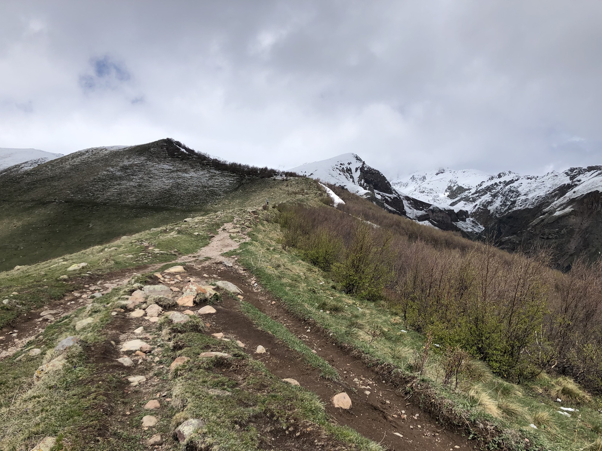 Spring Snow [Haiku] | Tiger Riding for Beginners
