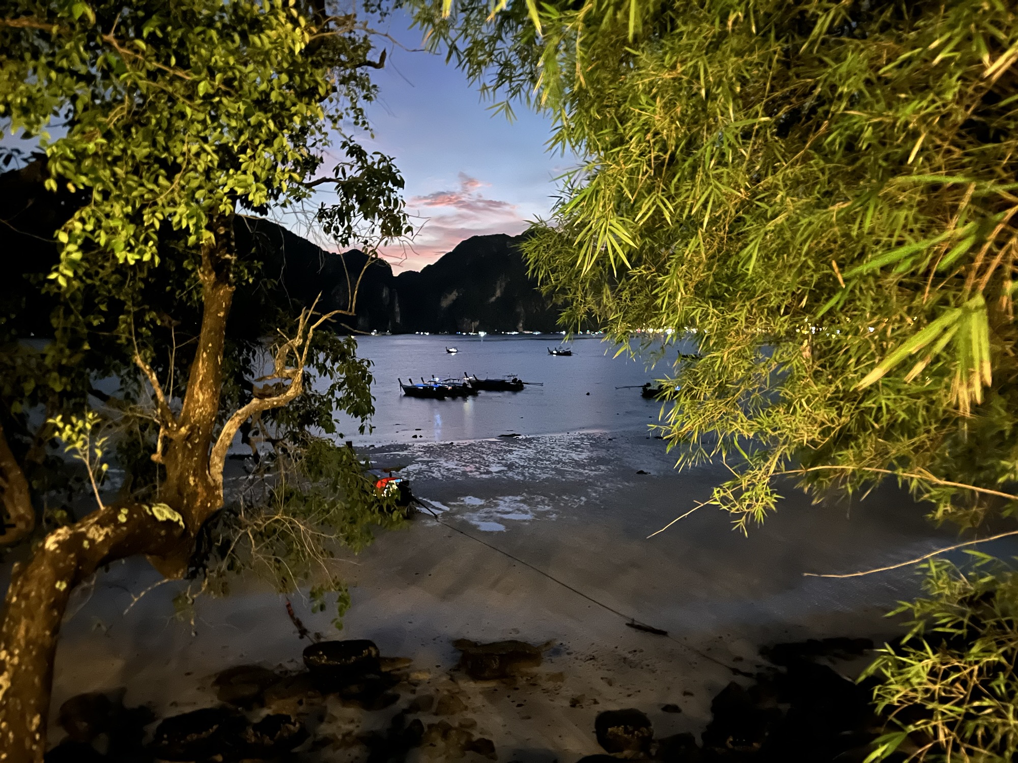 DAILY PHOTO: Dusky Bay | Tiger Riding for Beginners