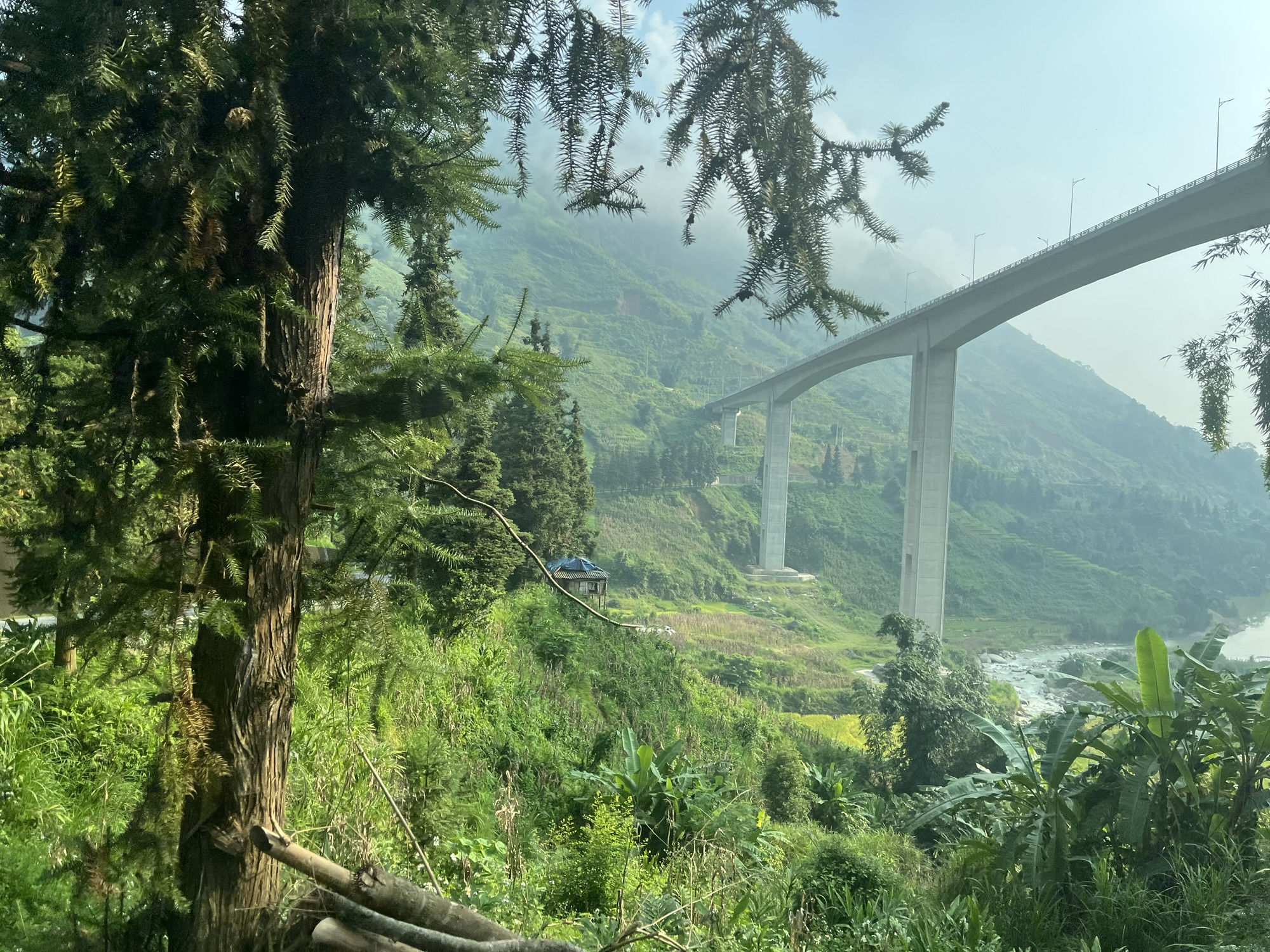 DAILY PHOTO: A Tall Bridge in the Wilderness | Tiger Riding for Beginners
