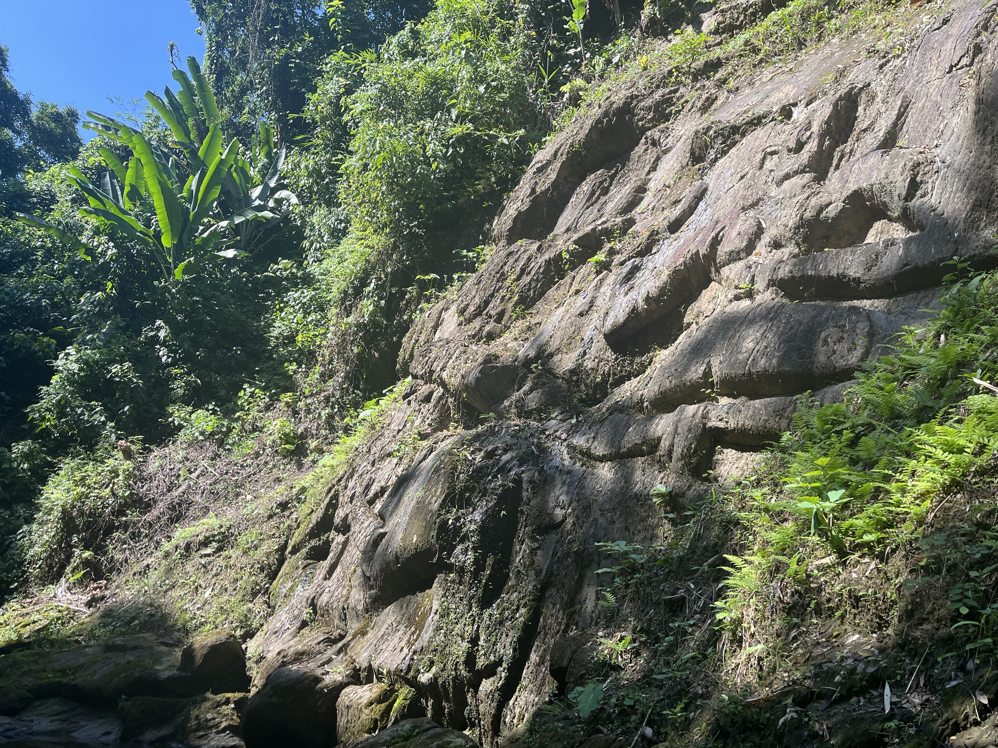 Ancient Guardian [Haiku] | Tiger Riding for Beginners