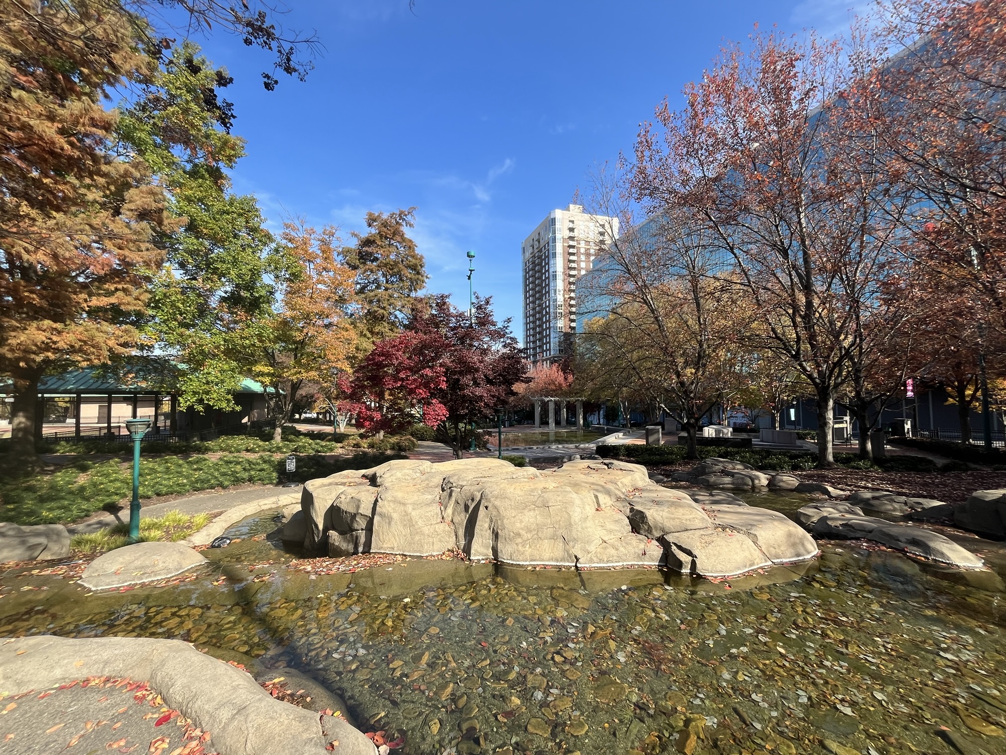 Leaf Flutter [Haiku] | Tiger Riding for Beginners